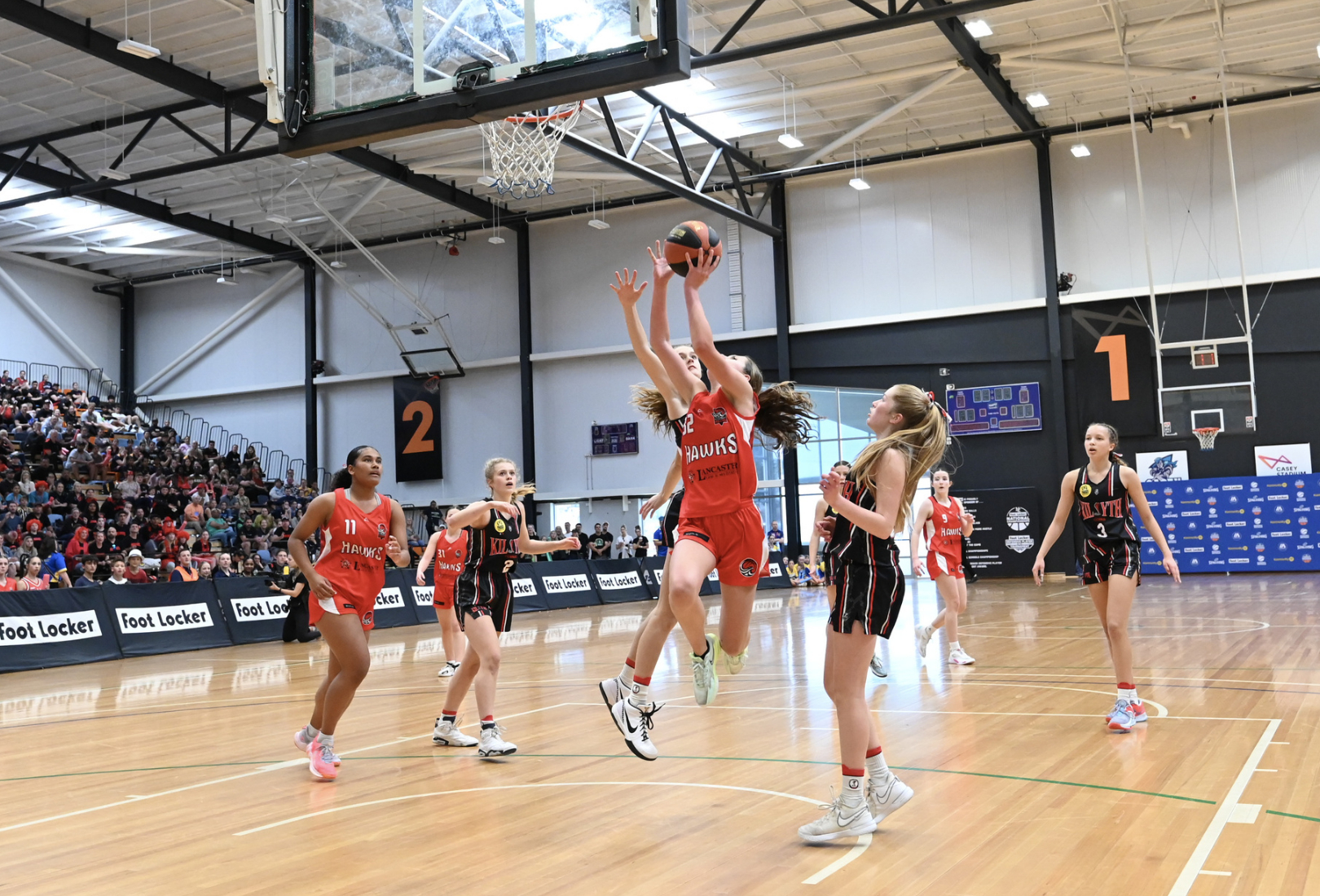 Illawarra Hawks Under 14 girls swoop on basketball history with ...