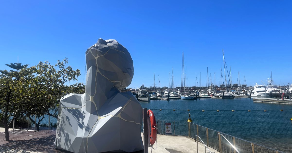 Spectacular sculptures scattered around Shell Cove's waterfront stun ...