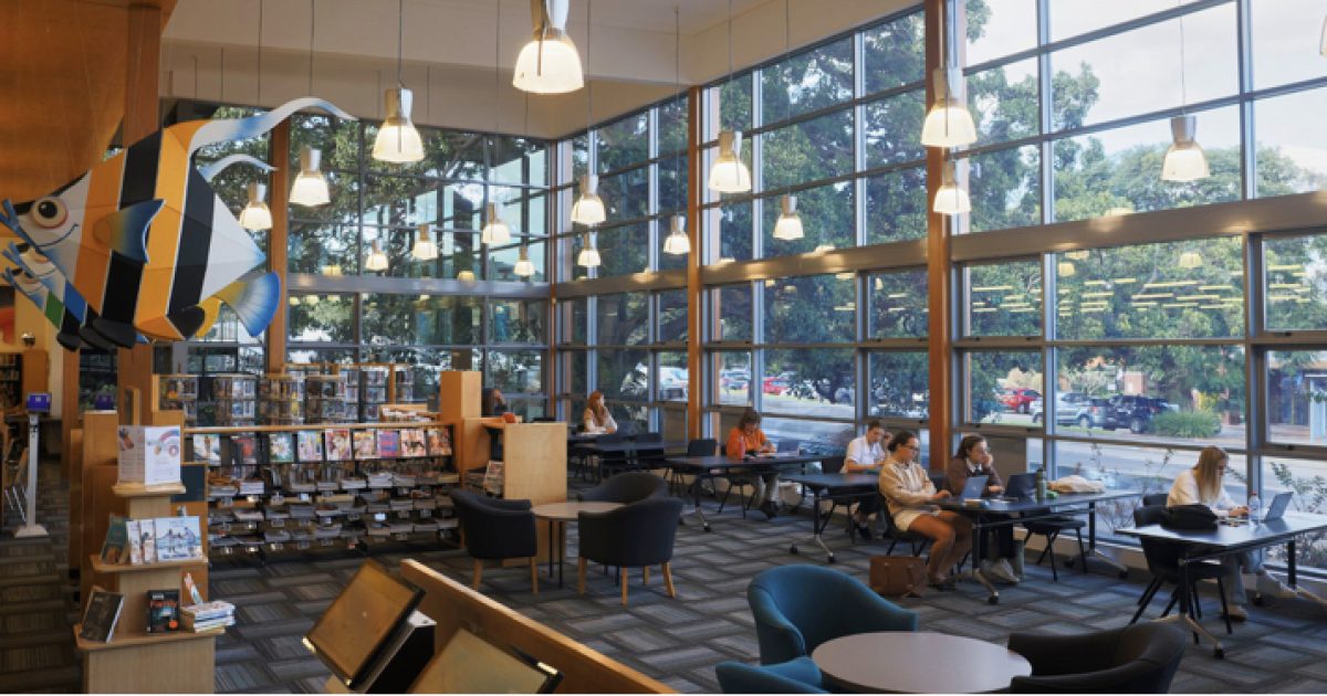 Bold, brash and barmy: trio of memoirists set to appear at Wollongong ...