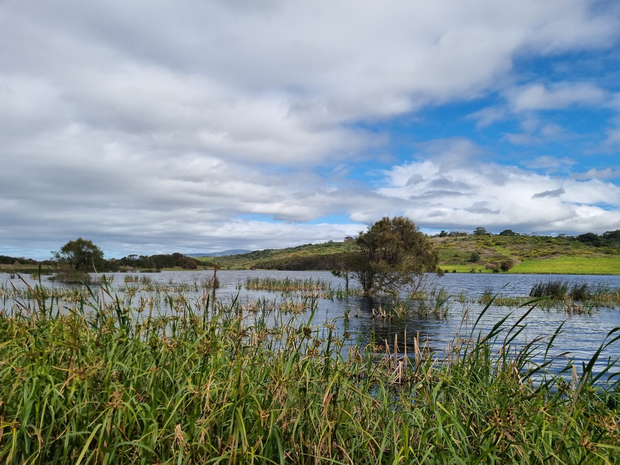 Community urged to have their say on new plans for Killalea Regional ...