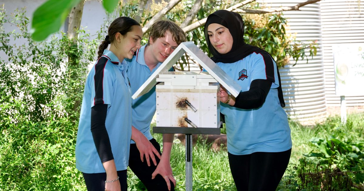 Warrawong High students get a buzz out of latest addition to 'living ...