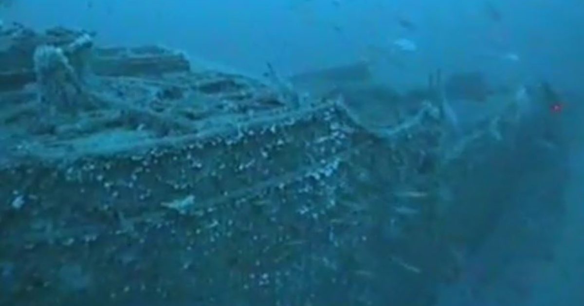 Wreckage of lost steamer Nemesis 'accidentally' discovered off Port ...