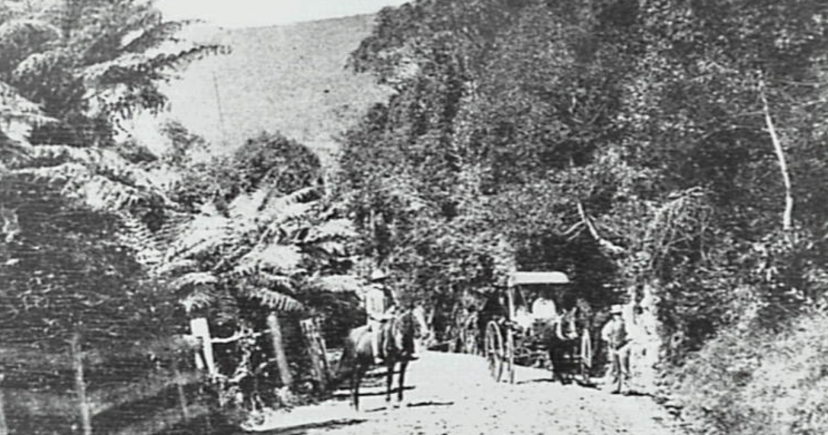 UPDATED: Bulli Pass to close at night for 5 months for extensive ...