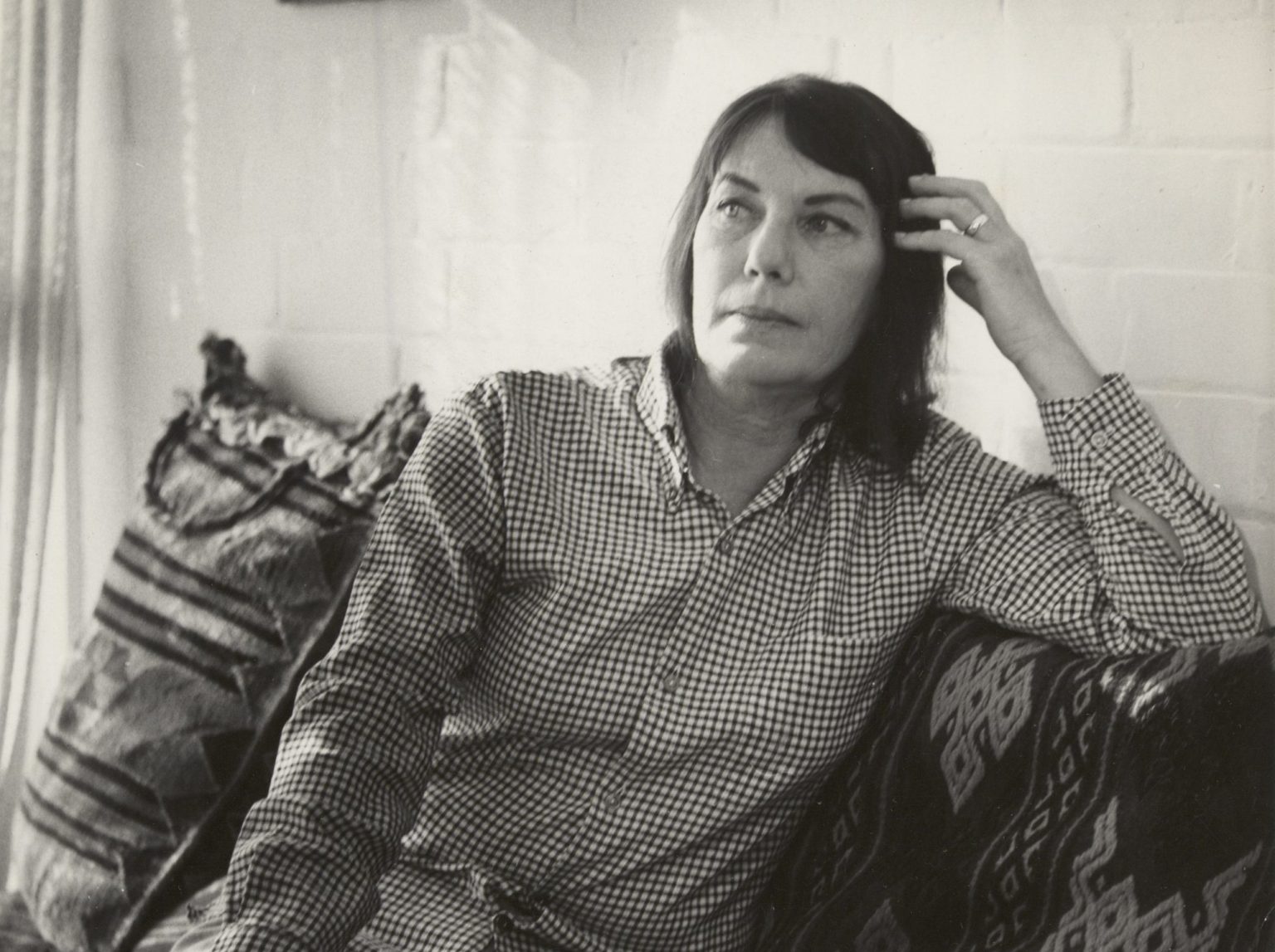 This 'bloody little kangaroo' from Kiama has been honoured with a blue ...