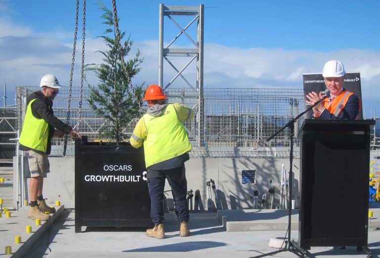 Crowne Plaza Shell Cove marks milestone with topping out ceremony ...