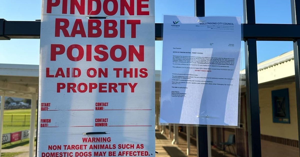 Warning issued over rabbit poison at Woonona park | Region Illawarra