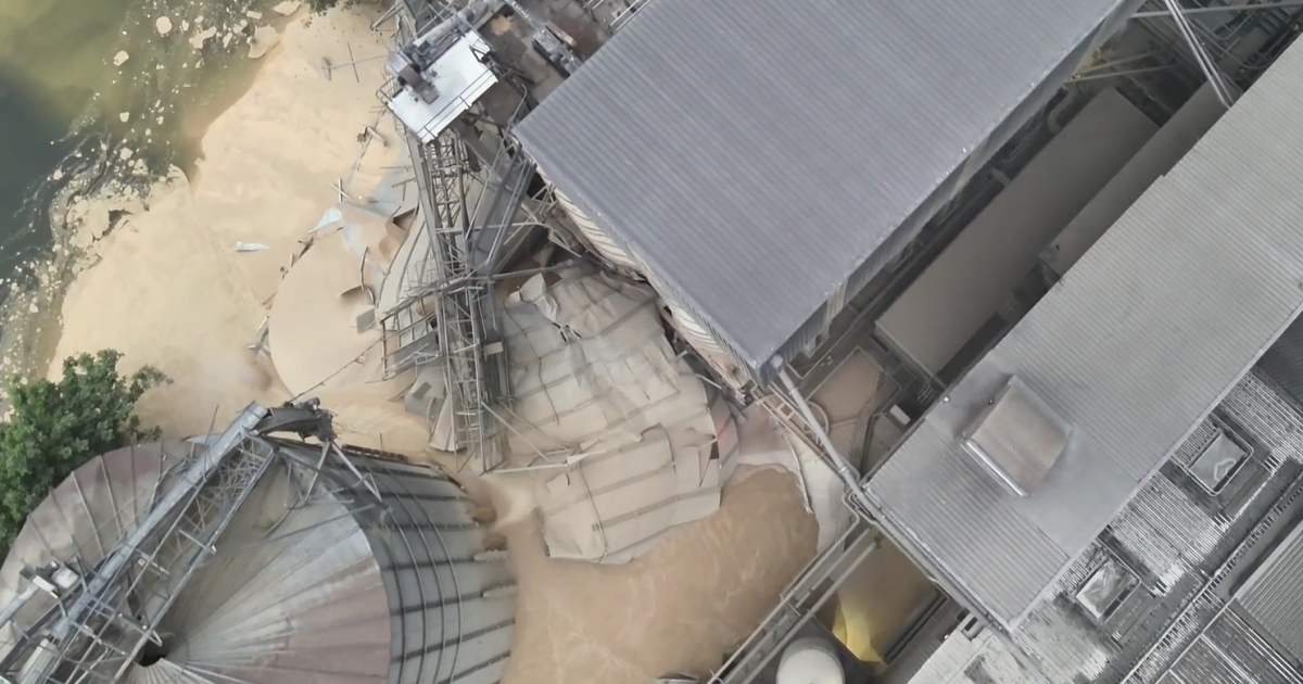 Thousands of tonnes of grain spilt in silo collapse at Bomaderry ...
