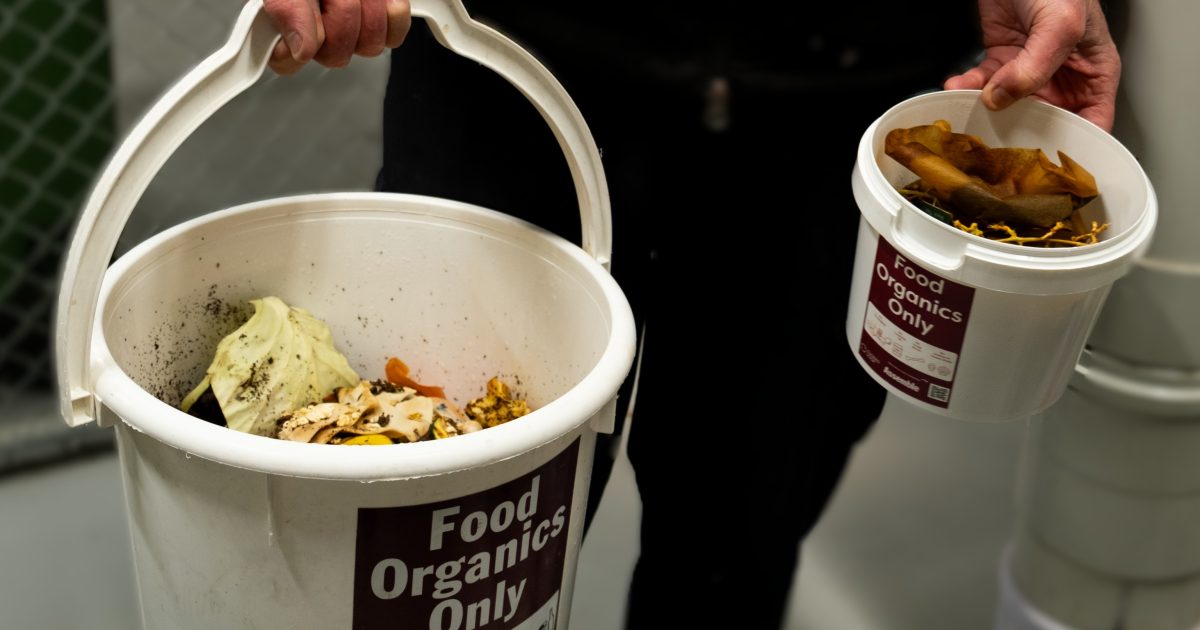 Smaller menus and more doggy bags: Food wastage report shines spotlight ...