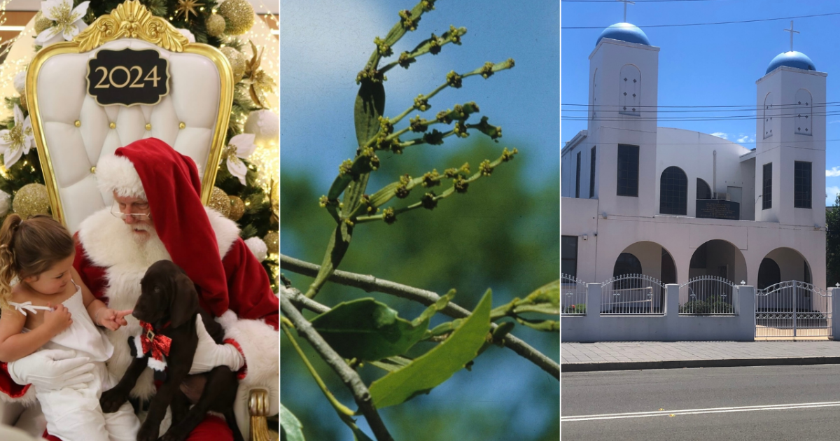 QUIZ: How much do you know about Christmas? Are you on the good or bad ...