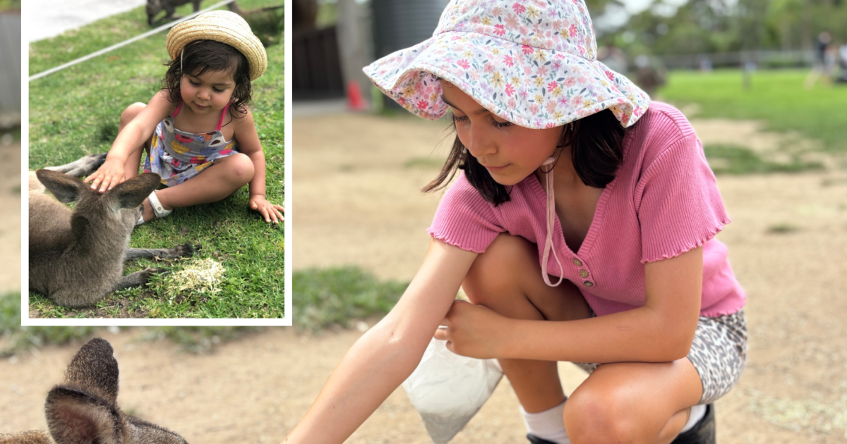 Six years of Symbio: An eight-year-old's wild adventures in the ...