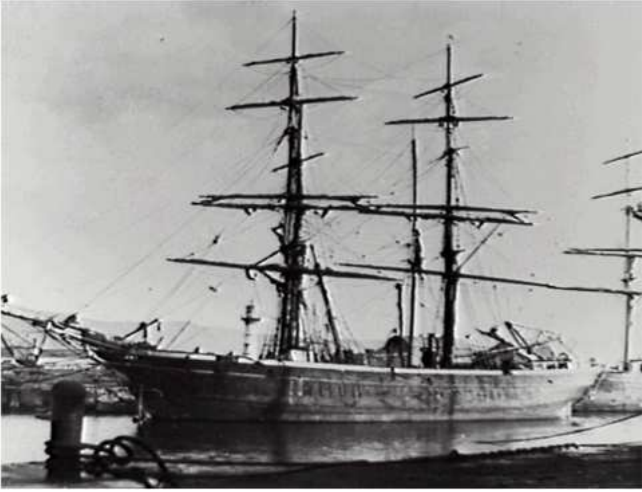 Rocking the art of boat building at Wollongong's Belmore Basin | Region ...