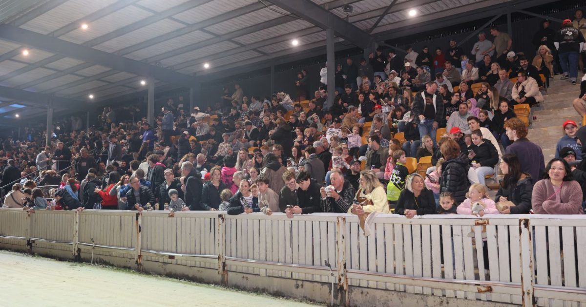 End of an era as thousands pack showground for final race at Dapto Dogs ...