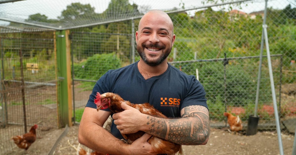 Here's how to prepare your pets for storm season | Region Illawarra